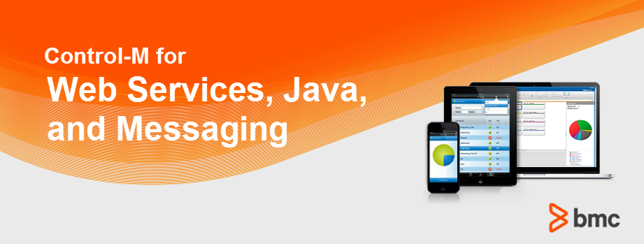 Control-M for Web Services Java and Messaging Control-M Documentation ...